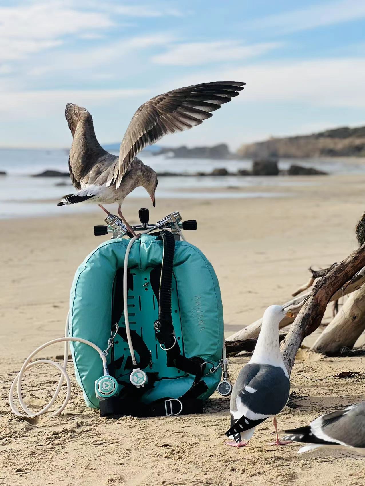 Tales 50 lbs double tank BCD set – AKUANA