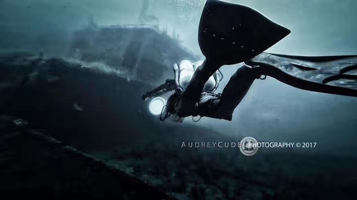 Seal 50 lbs Standard SS double tank BCD set – AKUANA