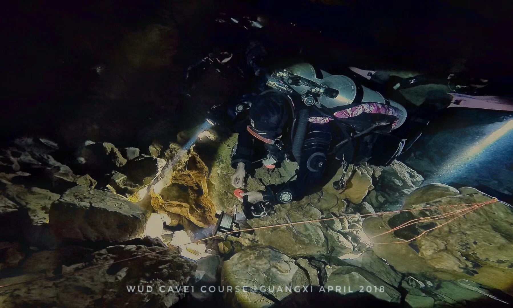 Seal 50 lbs Standard SS double tank BCD set – AKUANA